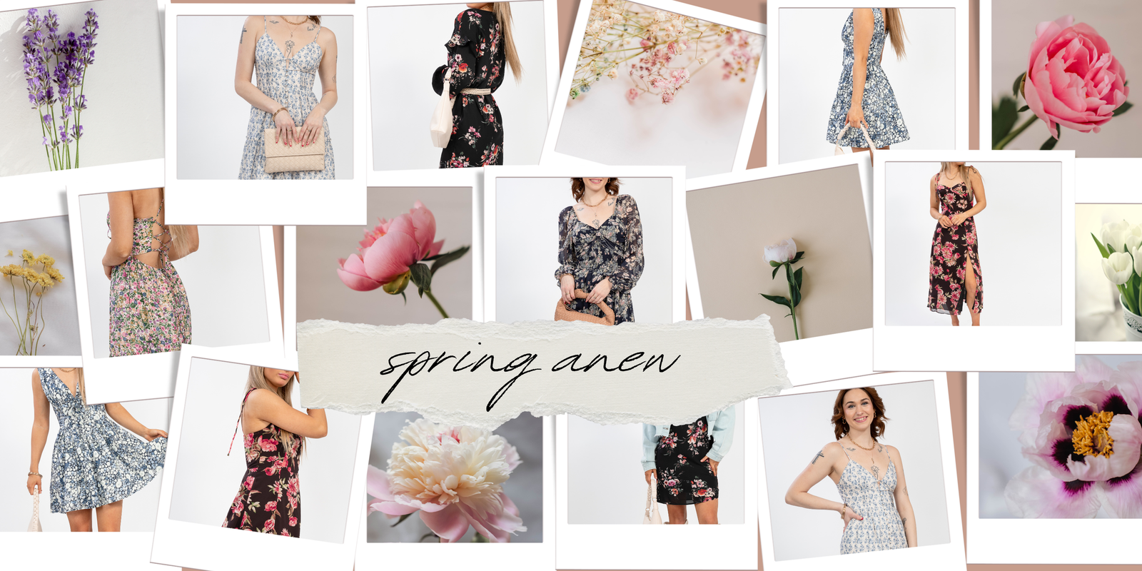 Compass Rose Boutique | Women's Clothing Store